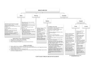 Brain Abscess - Algorithmic approach | PDF | Medical Health