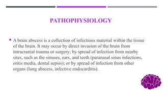 Brain Abscess presentation Adult health Nursing-II.pptx