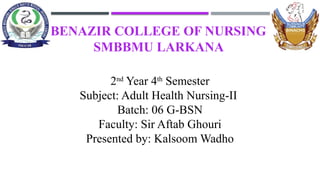 Brain Abscess presentation Adult health Nursing-II.pptx