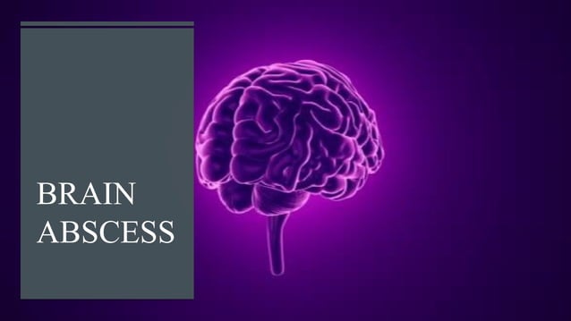 Brain Abscess presentation Adult health Nursing-II.pptx