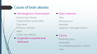 Brain abscess (dr. mahesh) | PPTX