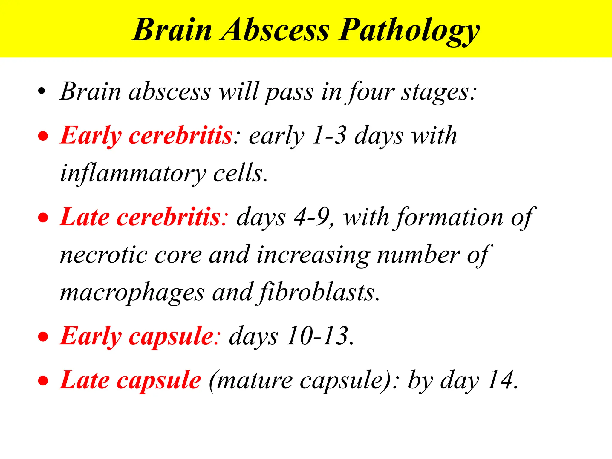 Brain Abscess it's causes and treatment and sign symptoms | PDF
