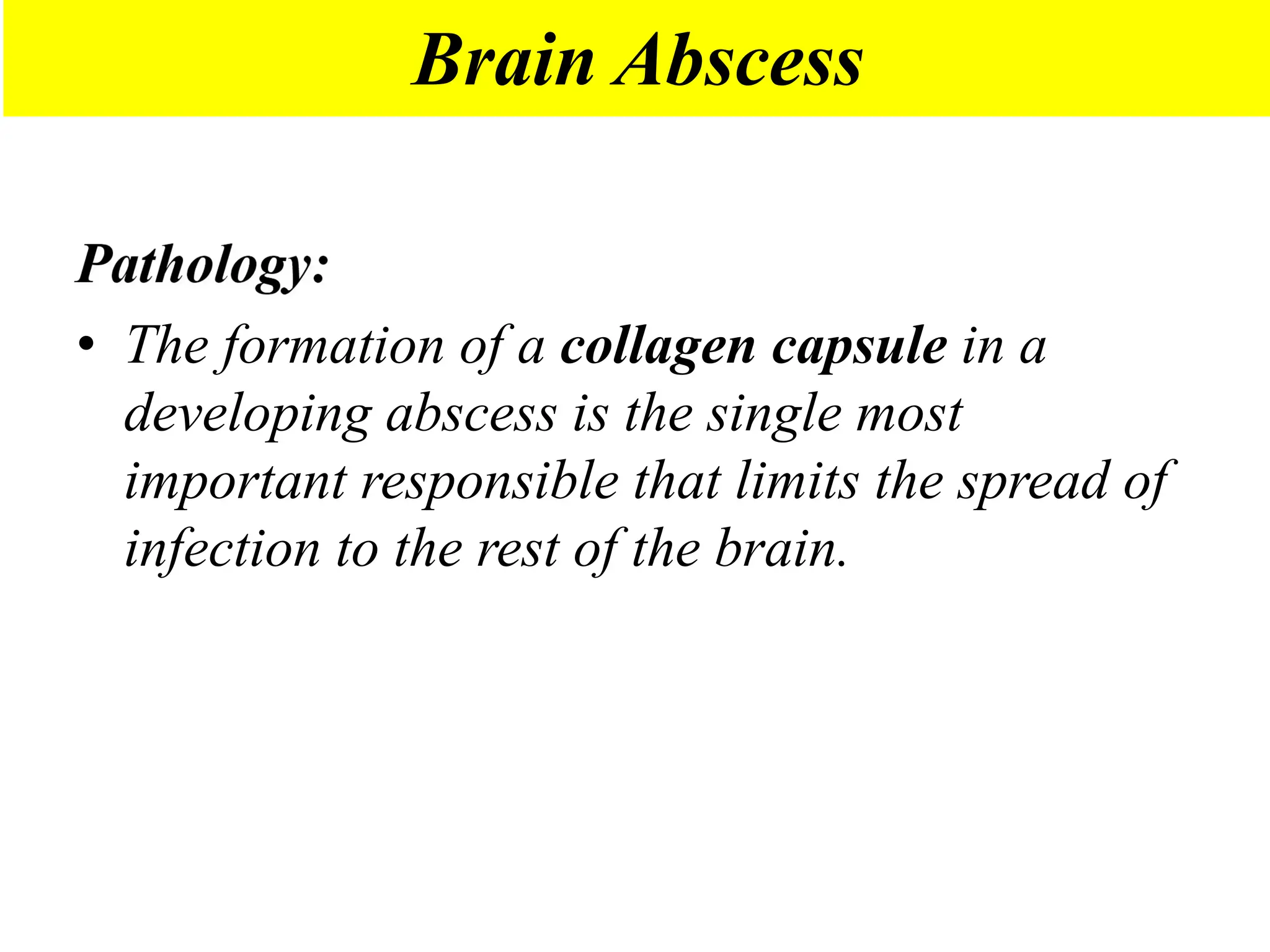 Brain Abscess it's causes and treatment and sign symptoms | PDF