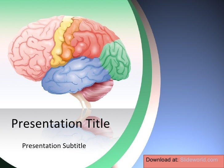 Brain Anatomy powerpoint template