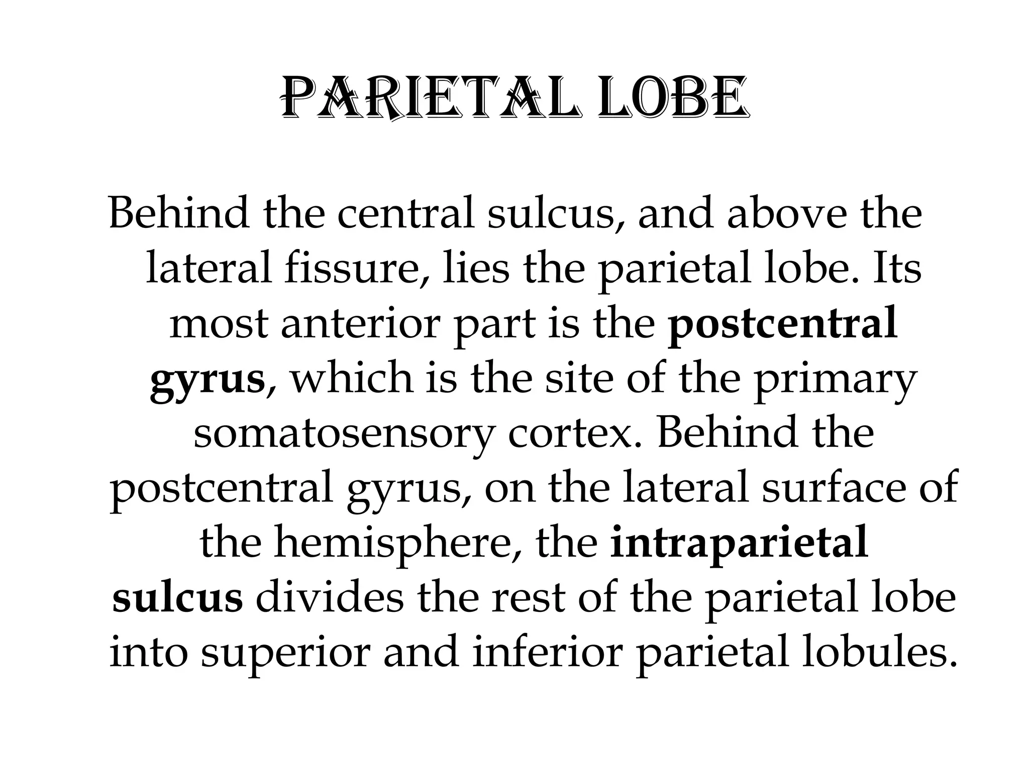 Anatomy of brain sulcus and gyrus - Dr.Sajith MD RD | PPTX