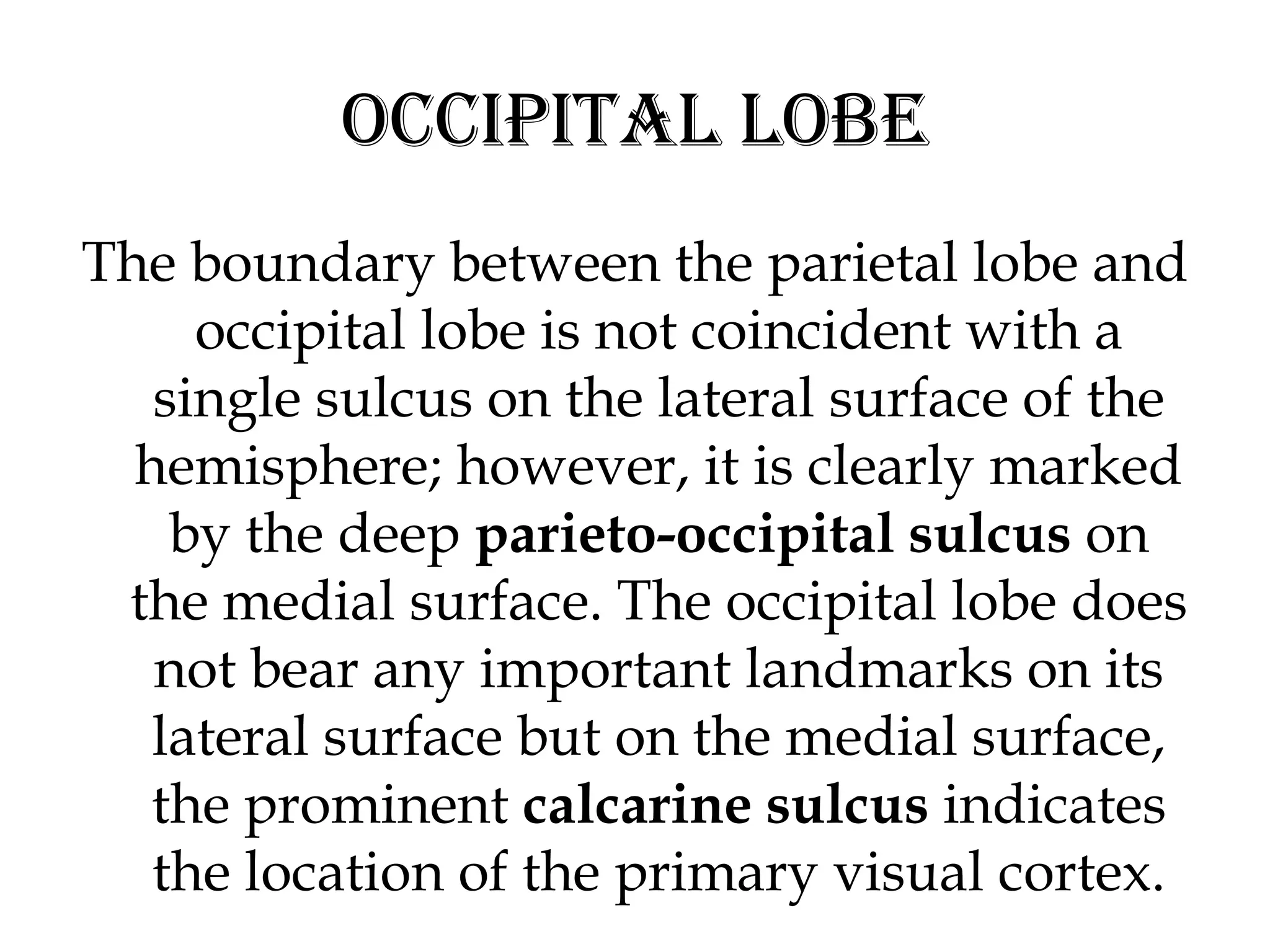 Anatomy of brain sulcus and gyrus - Dr.Sajith MD RD | PPTX
