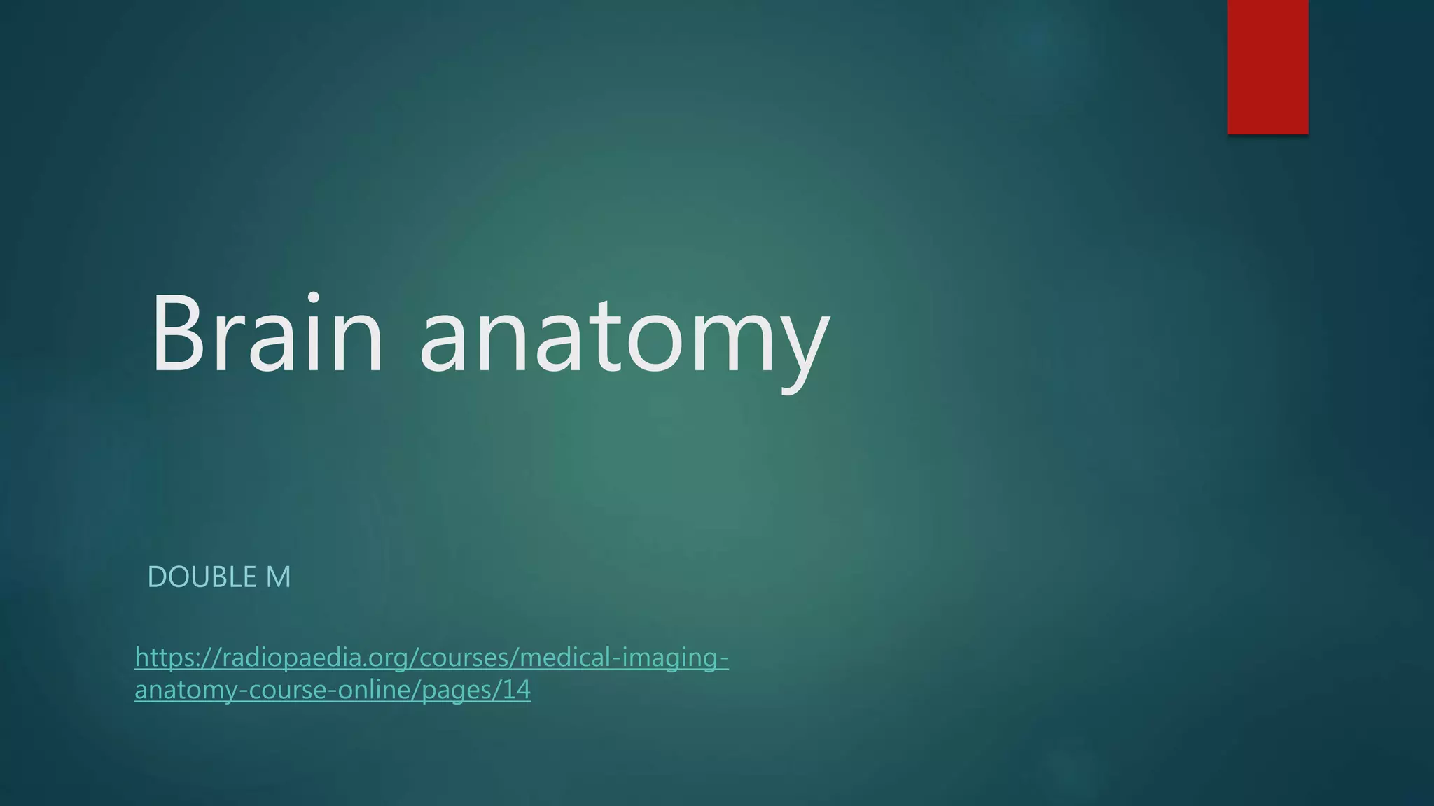 Brain anatomy | PPTX | Brain and Nervous System Disorders | Diseases ...