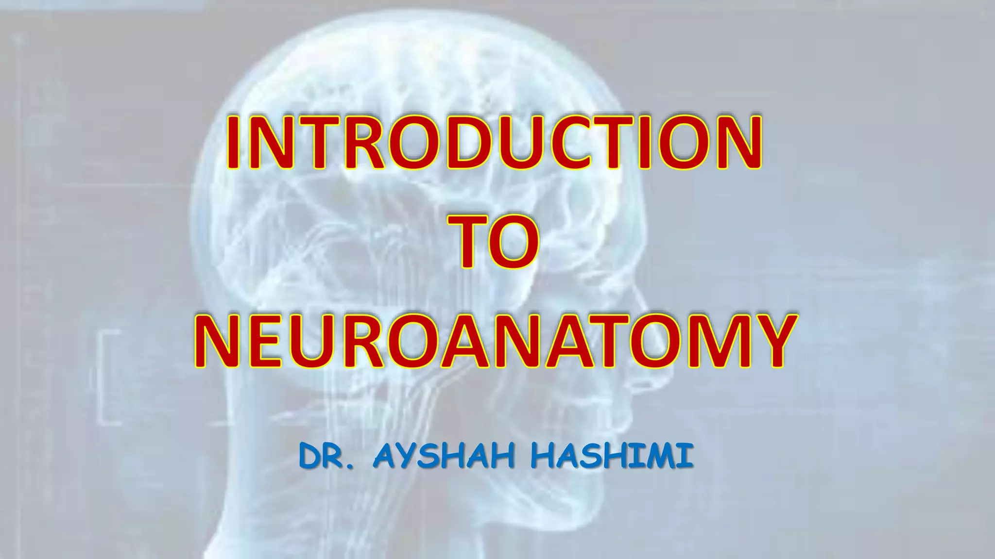 Brain anatomy | PPT