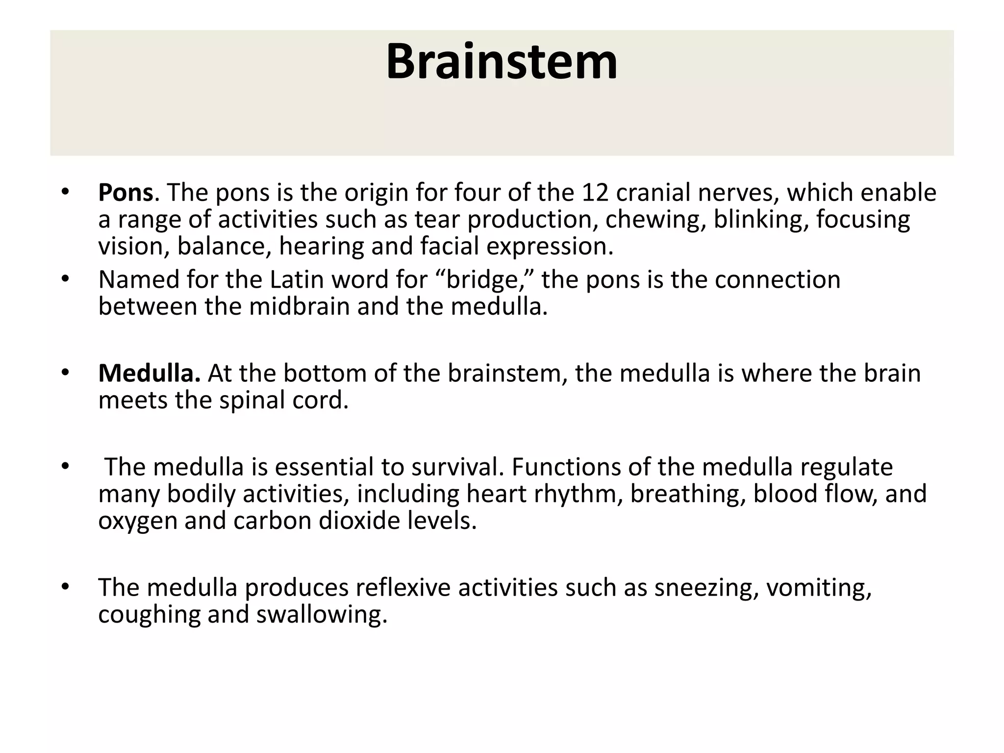 Brain anatomy.pptx