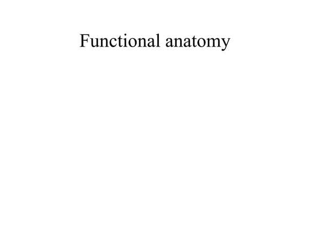 brain anatomy radiology ppt for dnbs.ppt
