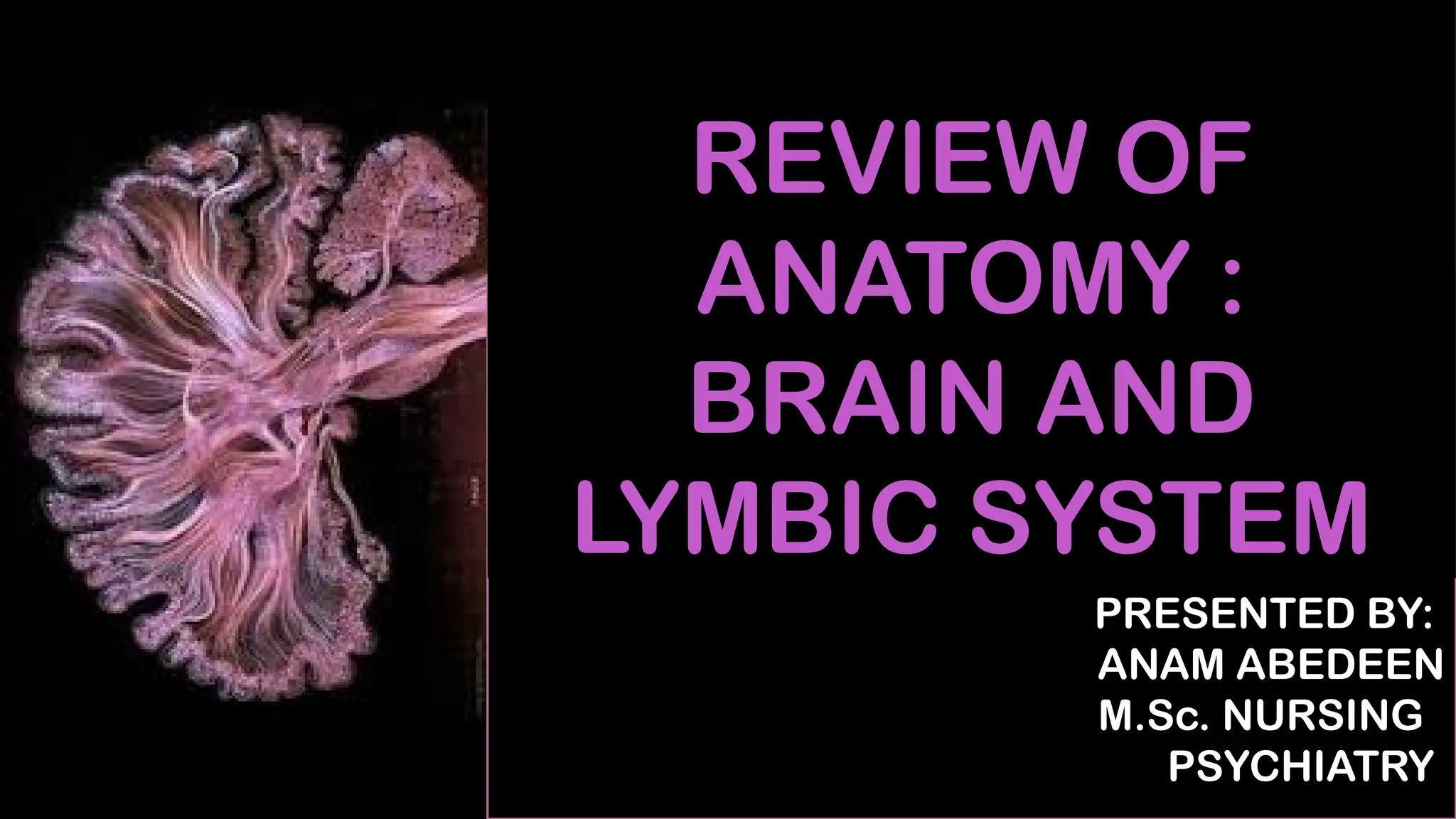 ANATOMY OF BRAIN AND LYMBIC SYSTEM.pptx