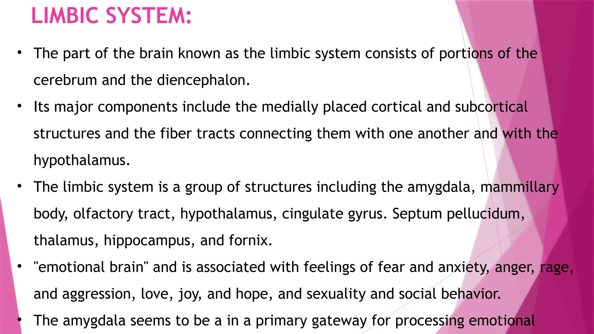 ANATOMY OF BRAIN AND LYMBIC SYSTEM.pptx