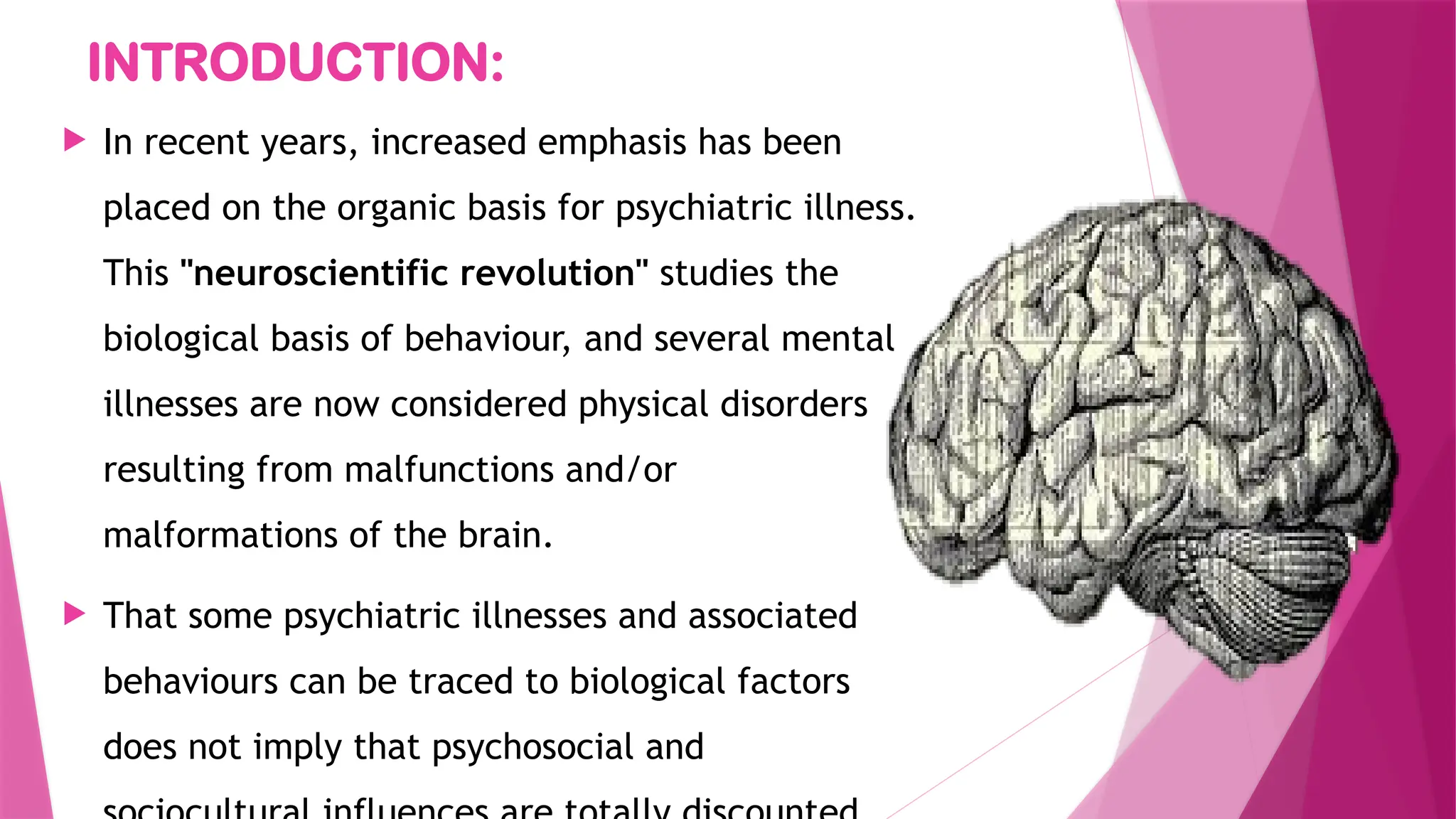 ANATOMY OF BRAIN AND LYMBIC SYSTEM.pptx