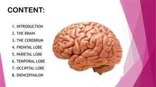 ANATOMY OF BRAIN AND LYMBIC SYSTEM.pptx