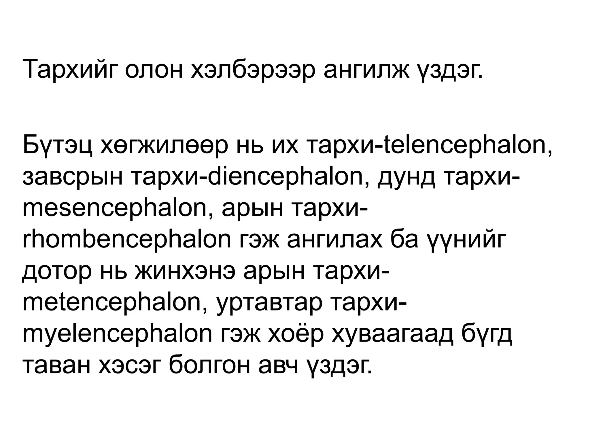 Brain anatomy ariunaa | PPTX