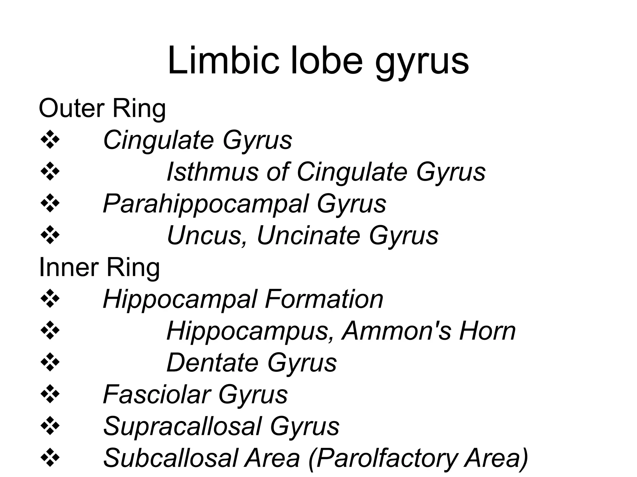 Brain anatomy ariunaa | PPTX
