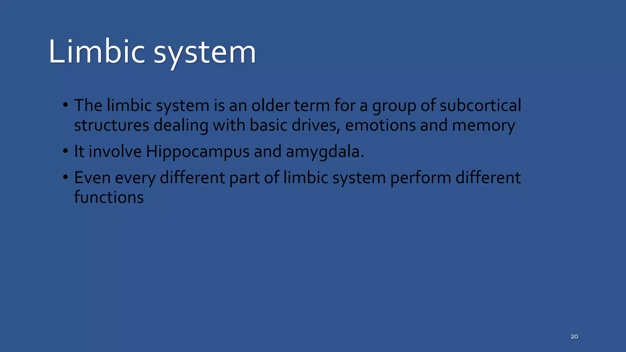 Brain anatomy and it relationship with behavior | PPTX