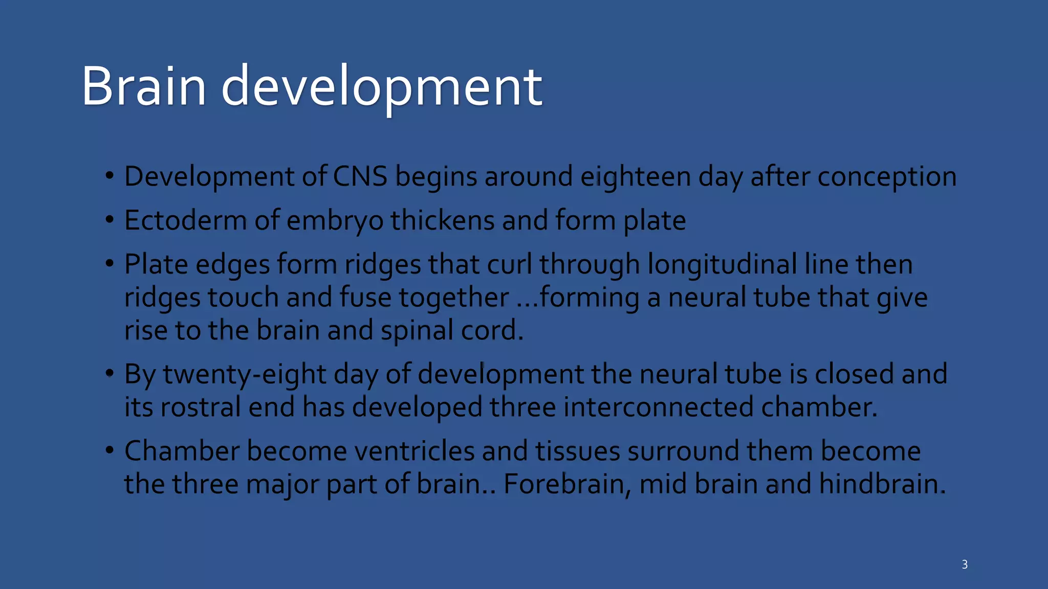 Brain anatomy and it relationship with behavior | PPTX | Brain and ...