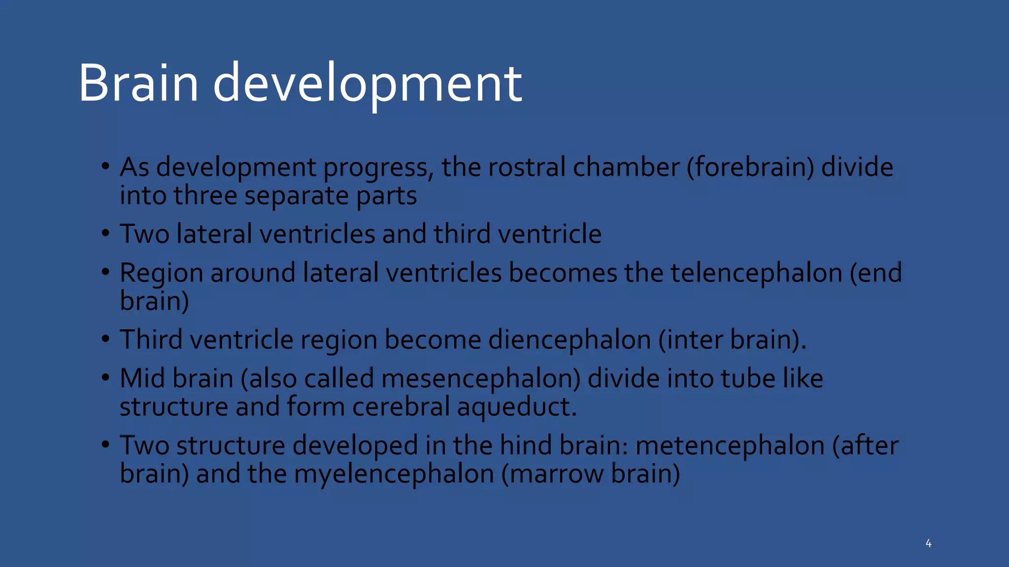 Brain anatomy and it relationship with behavior | PPTX