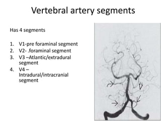 brain anatomy and vascular supply.pptx