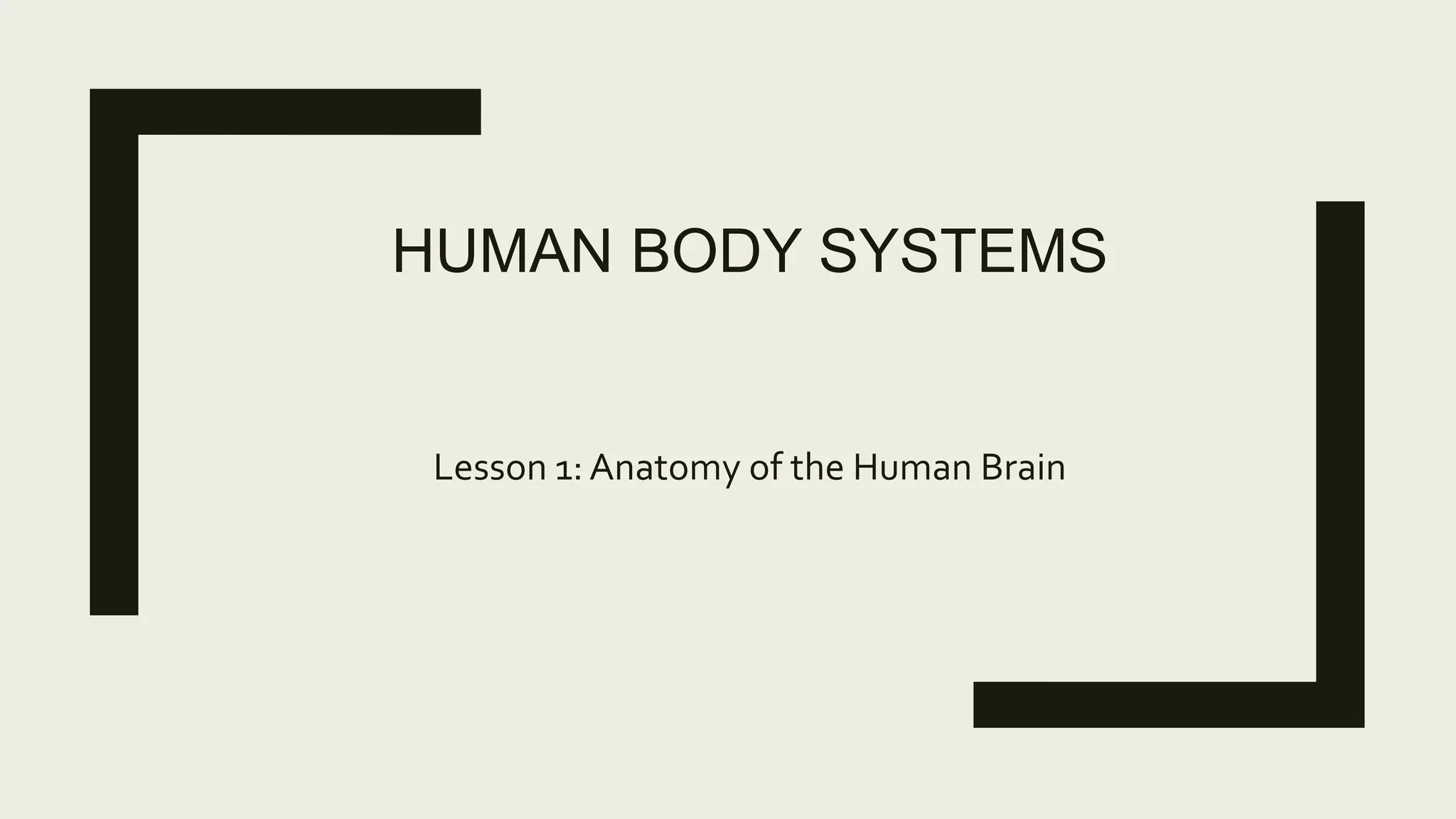 Brain anatomy lesson | PPTX