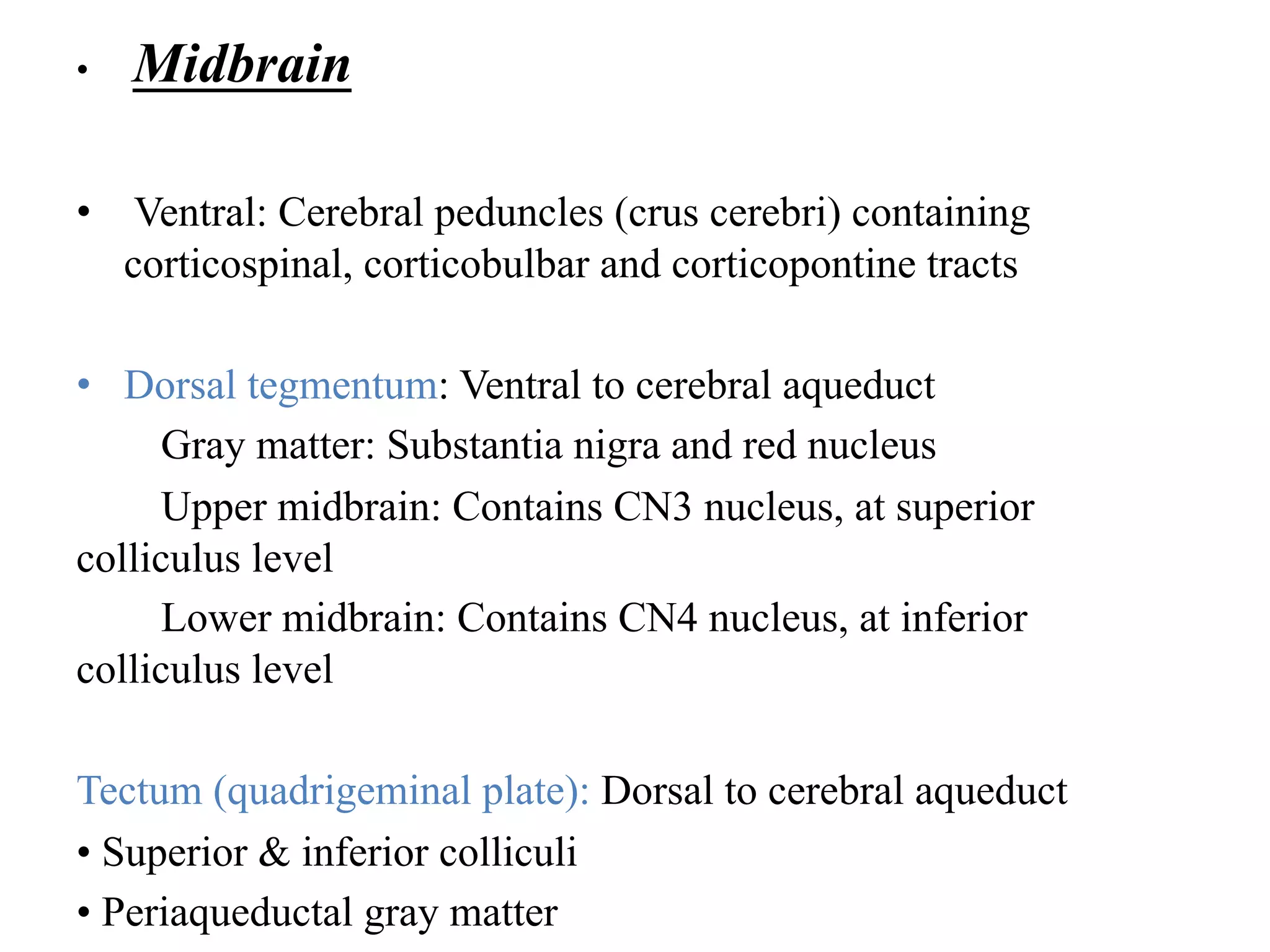 Brain anatomy new | PDF