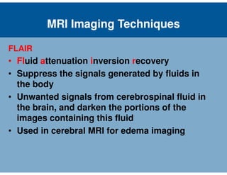 Brain anatomy on ct & amp; mri | PDF