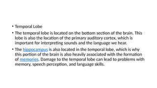 brain anatomy physiology 2025 short.pptx