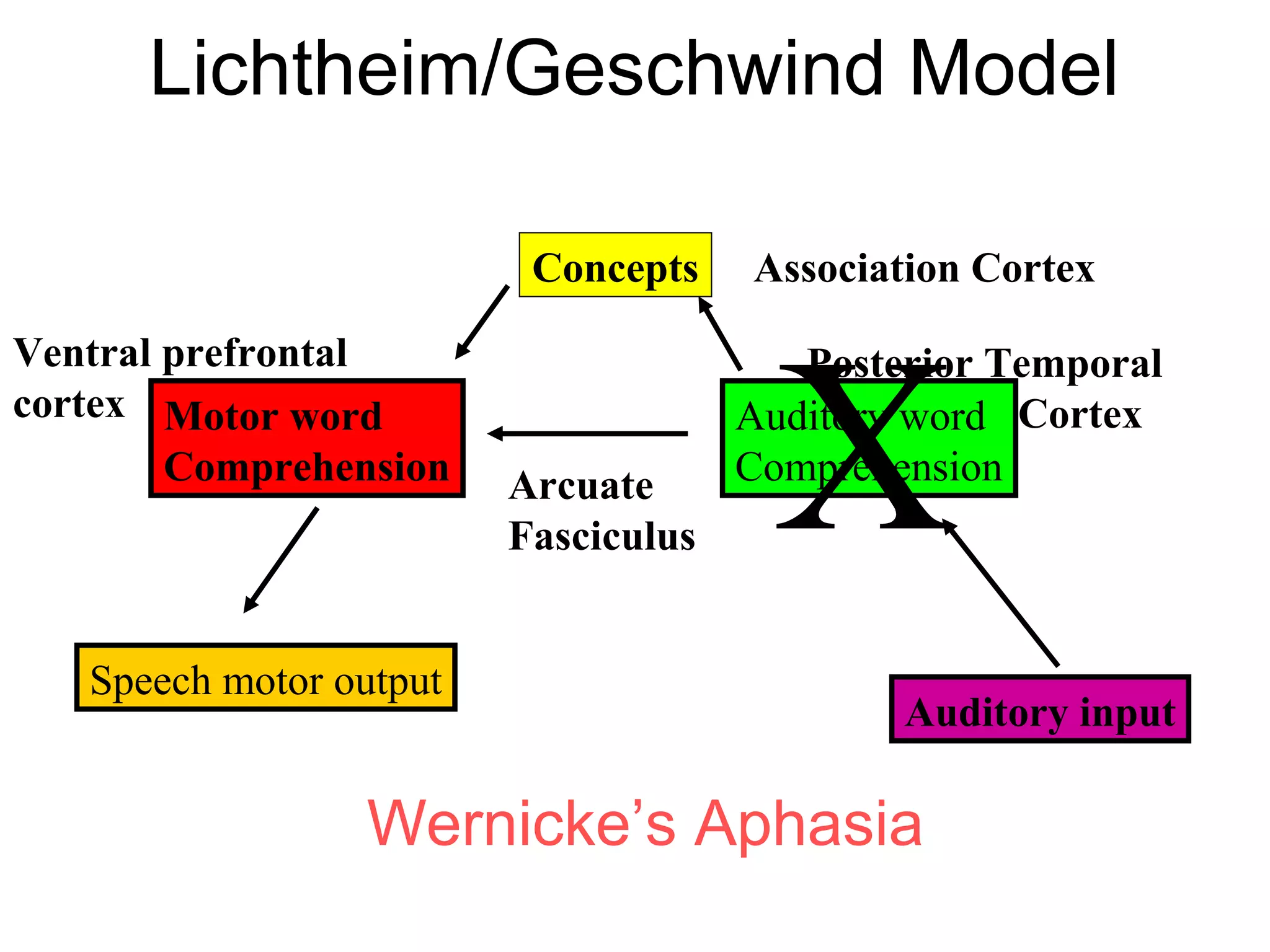 Brain And Aphasia | PPT