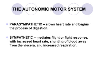Brain And Behavior | PPTX
