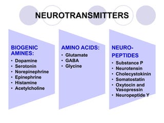 Brain And Behavior | PPTX