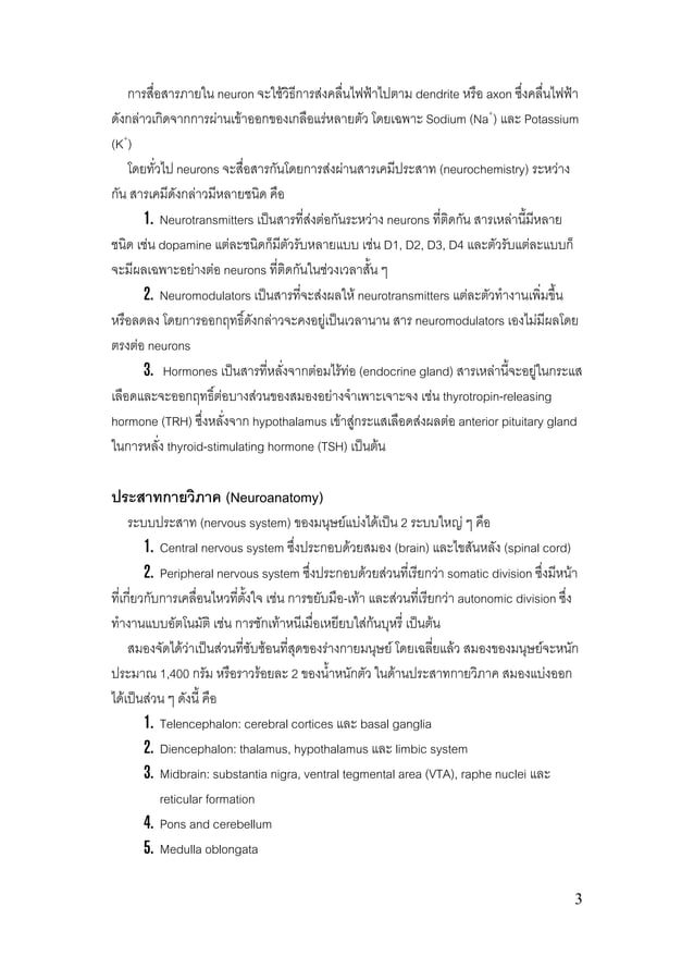 Brain and behavior in Thai | PDF