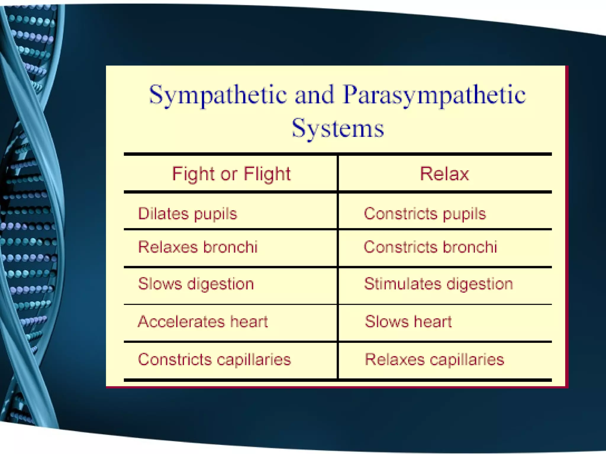 Brain and behaviour dr vbk | PPT