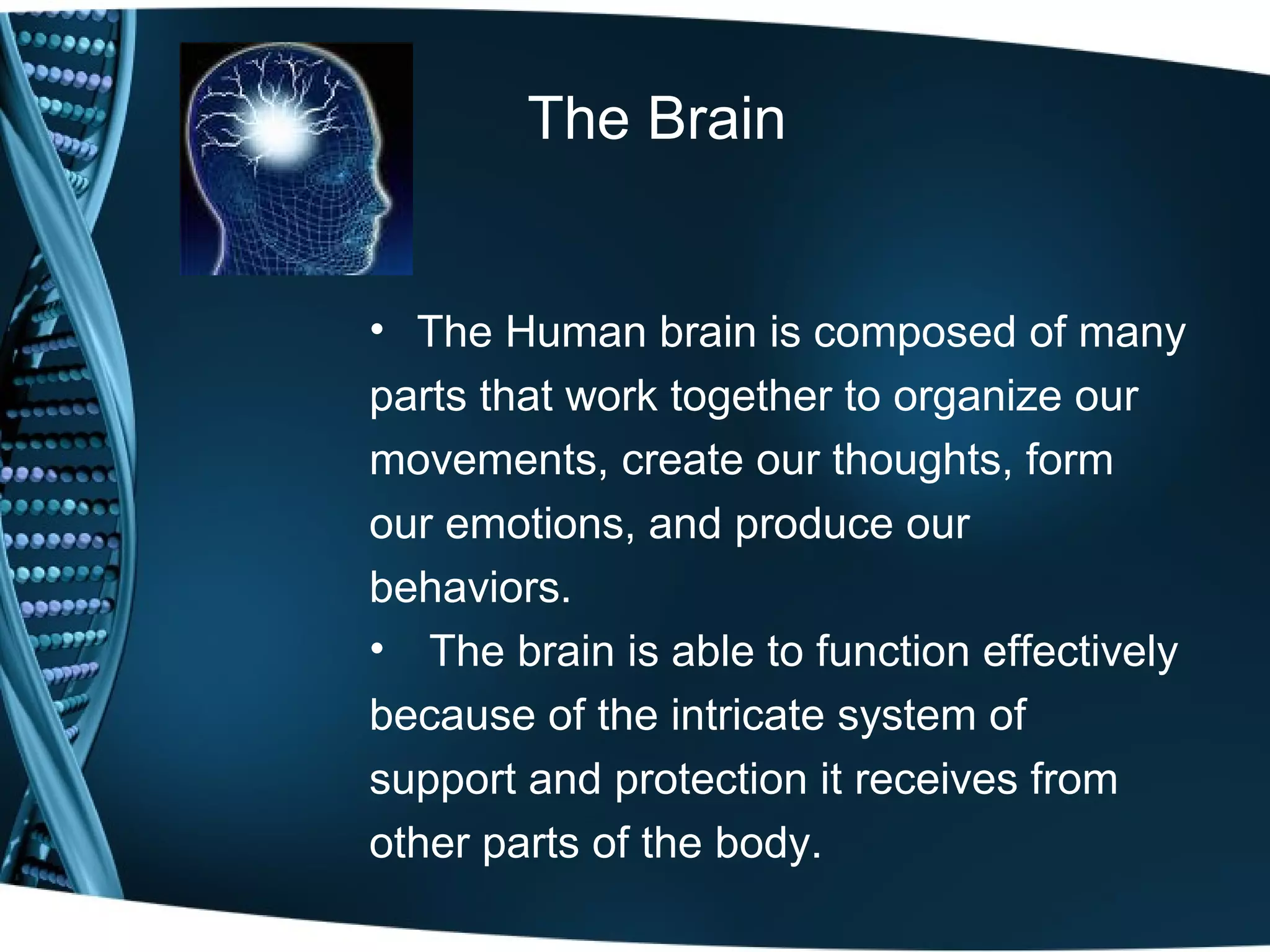 Brain and behaviour dr vbk | PPT