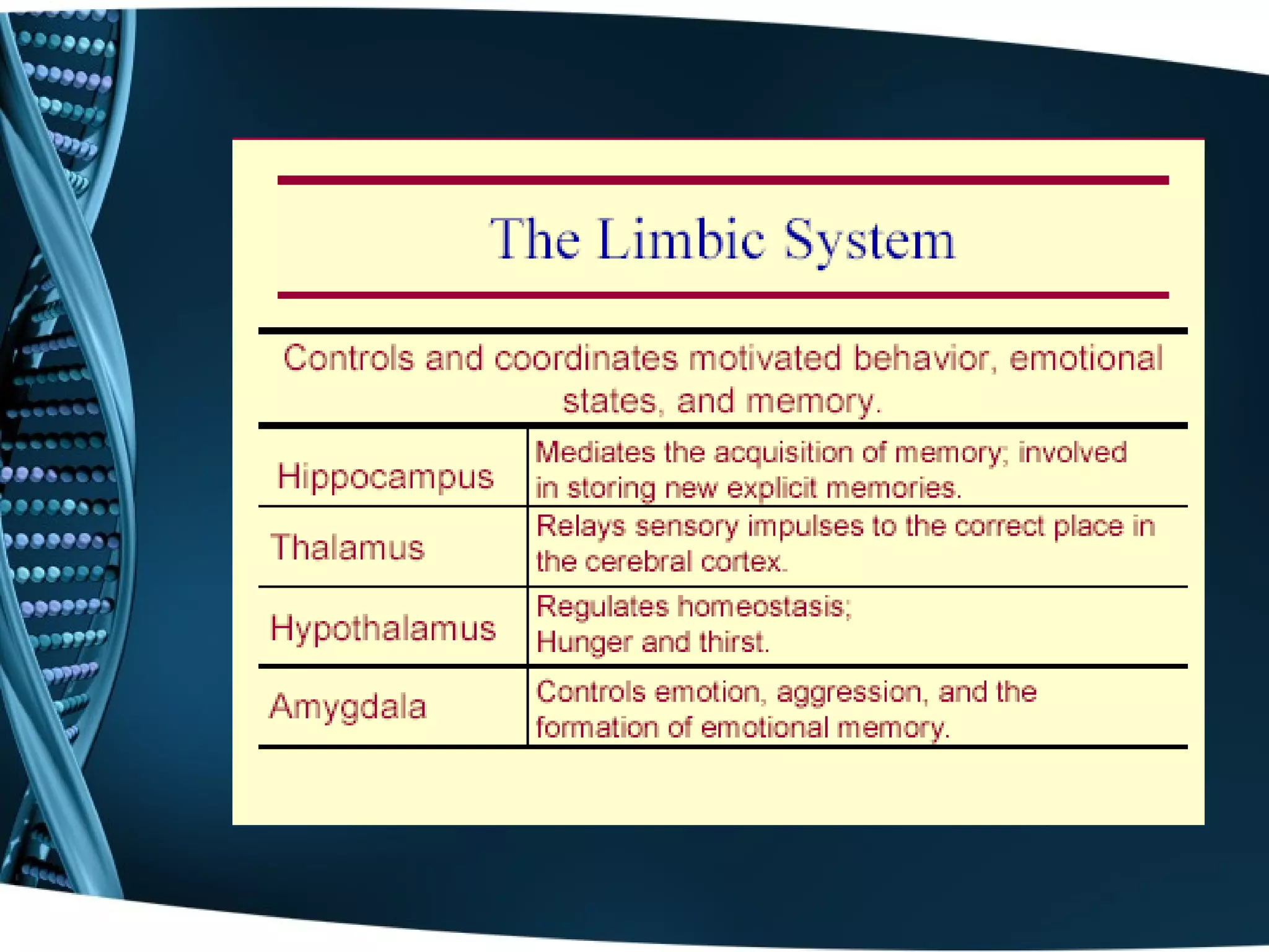 Brain and behaviour dr vbk | PPT