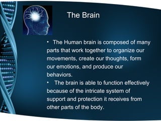 Brain and behaviour dr vbk | PPT