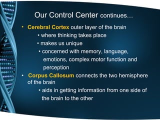 Brain and behaviour dr vbk | PPT