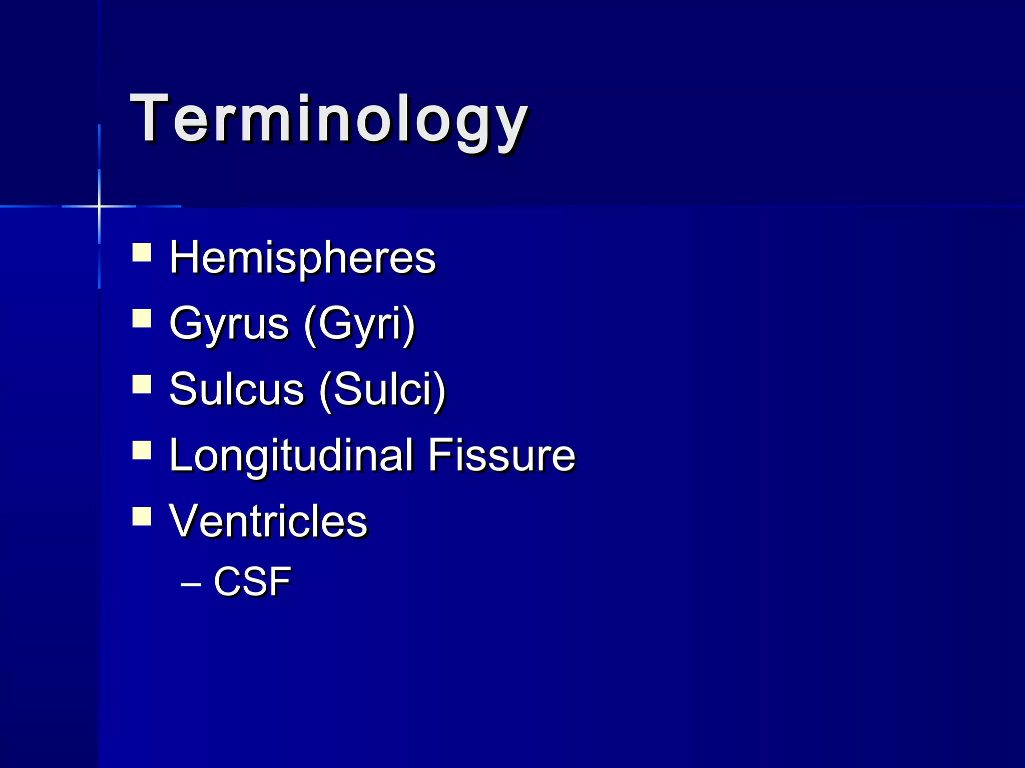 Brain and cranial nerves | PPT
