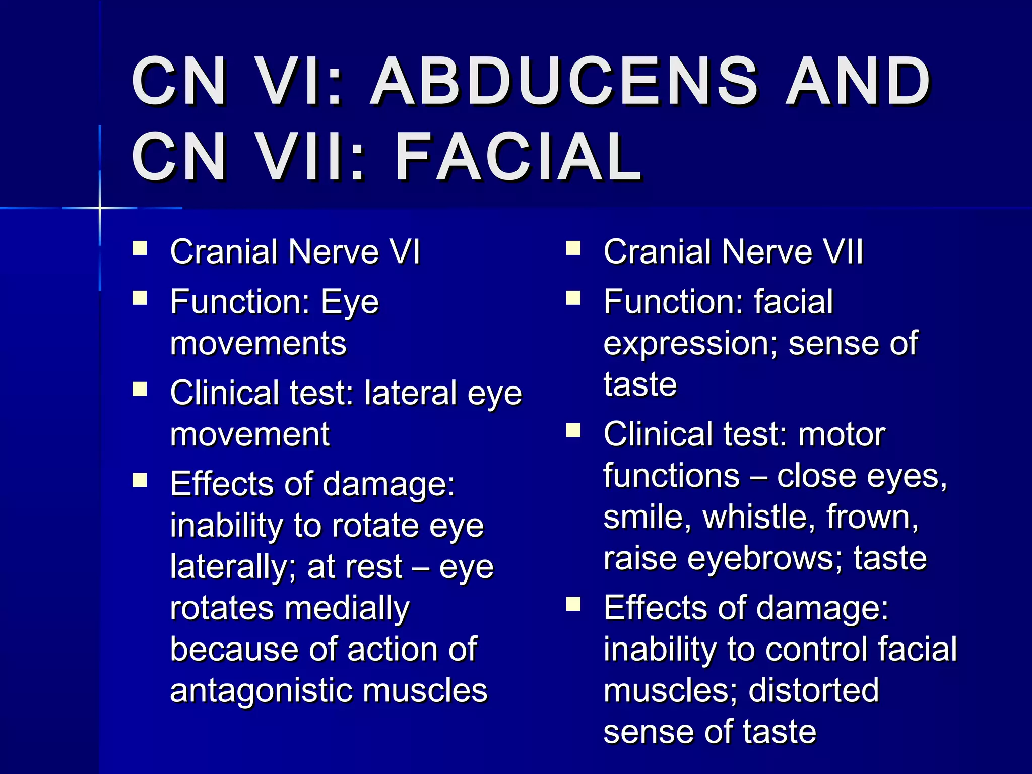 Brain and cranial nerves | PPT