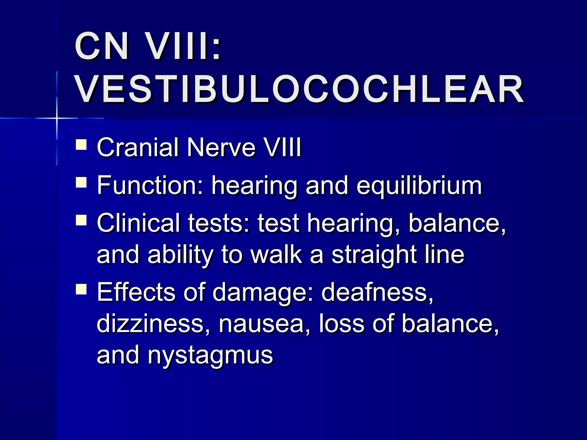Brain and cranial nerves | PPT