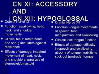 Brain and cranial nerves | PPT