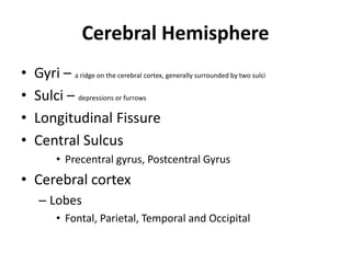 Brain and cranial nerves and Spinal cord and Spinal Nerves | PPTX