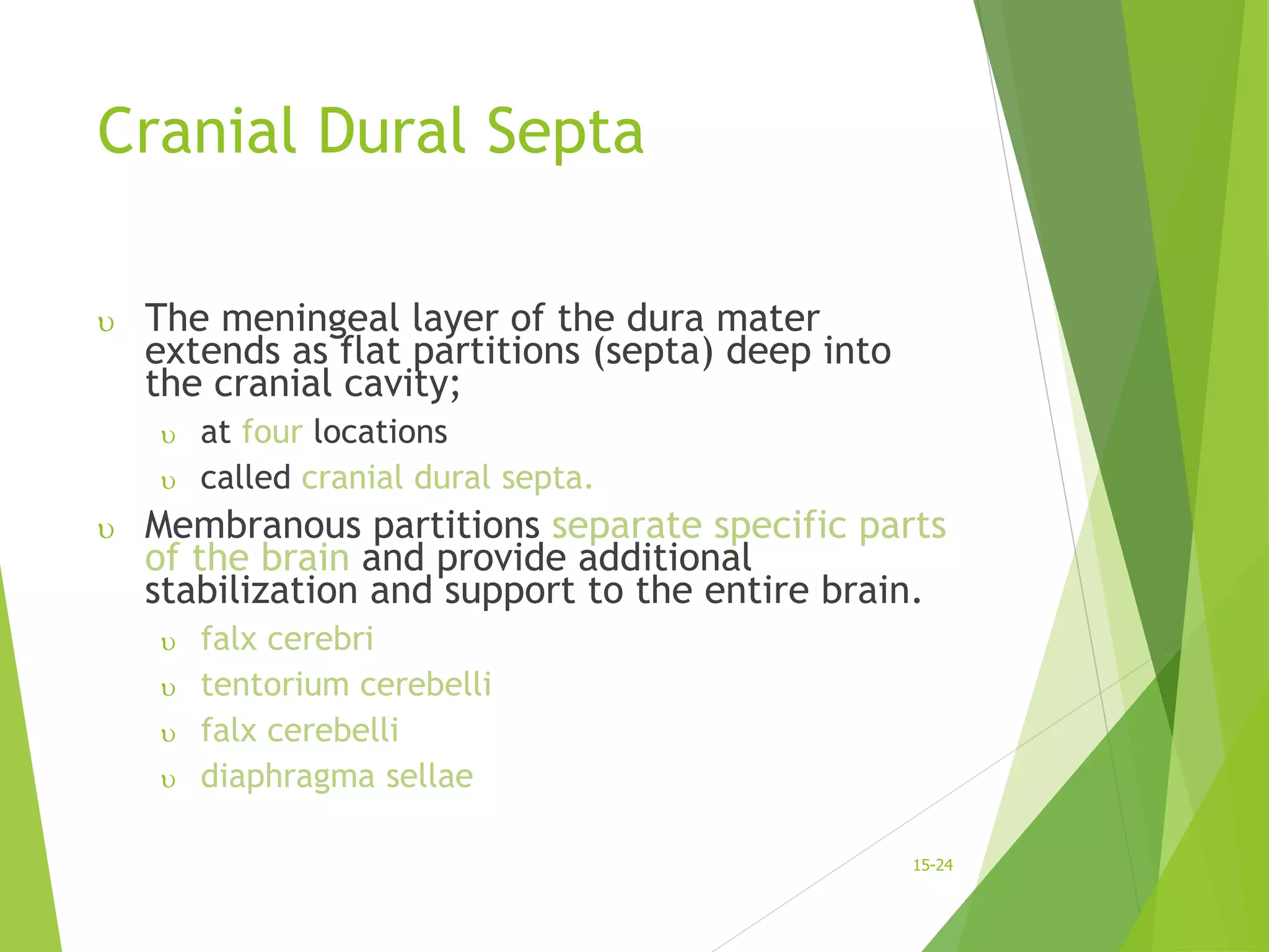 Brain and cranial nerves | PPT