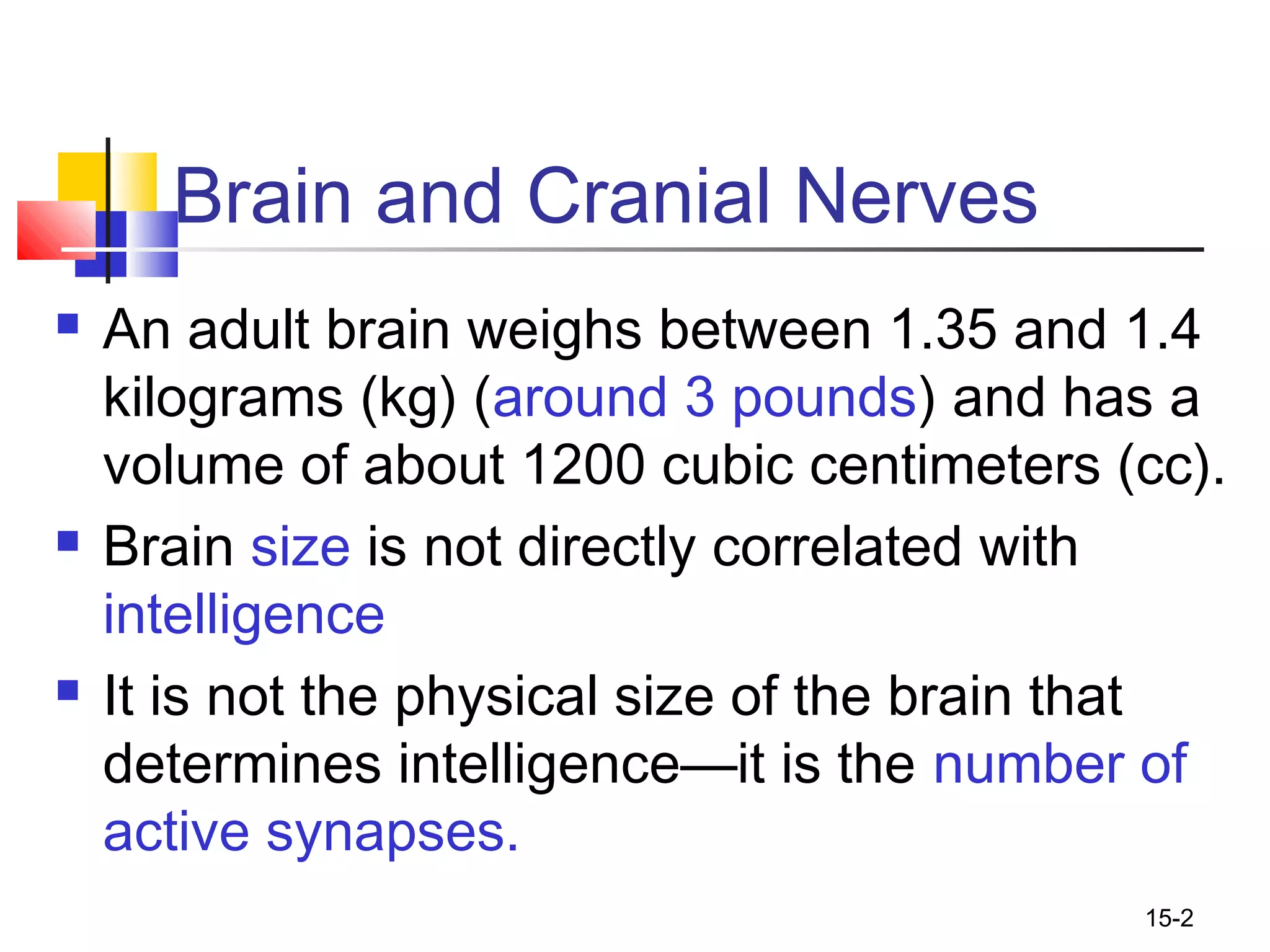 Brain and cranial nerves | PPT