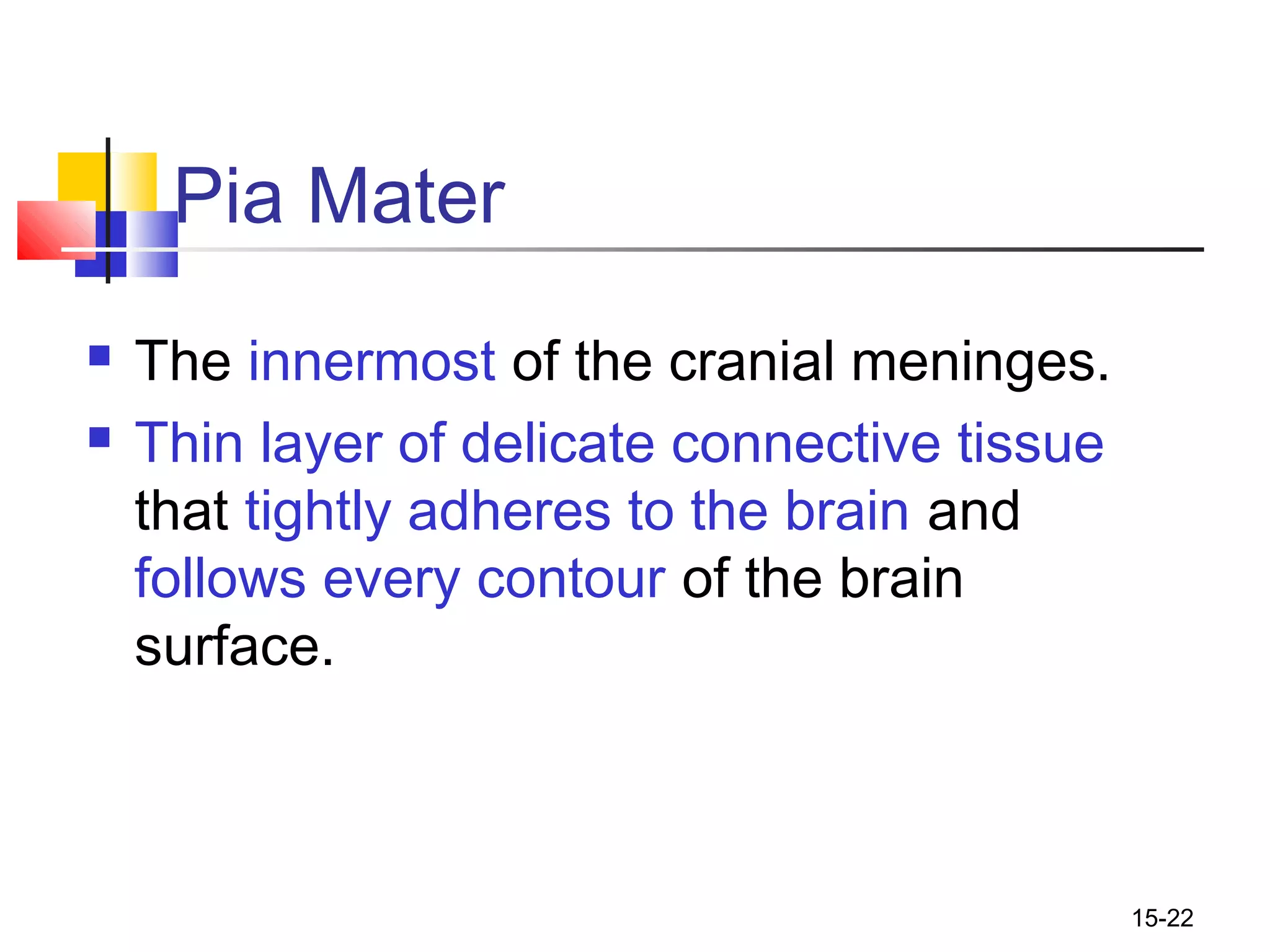Brain and cranial nerves | PPT