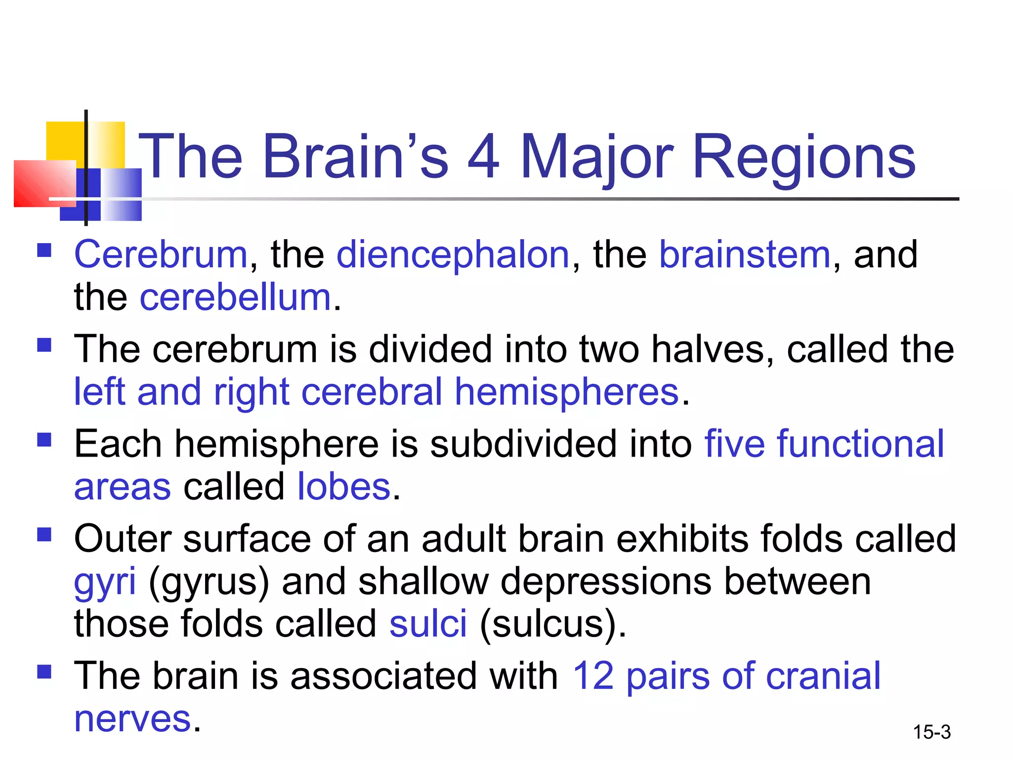 Brain and cranial nerves | PPT