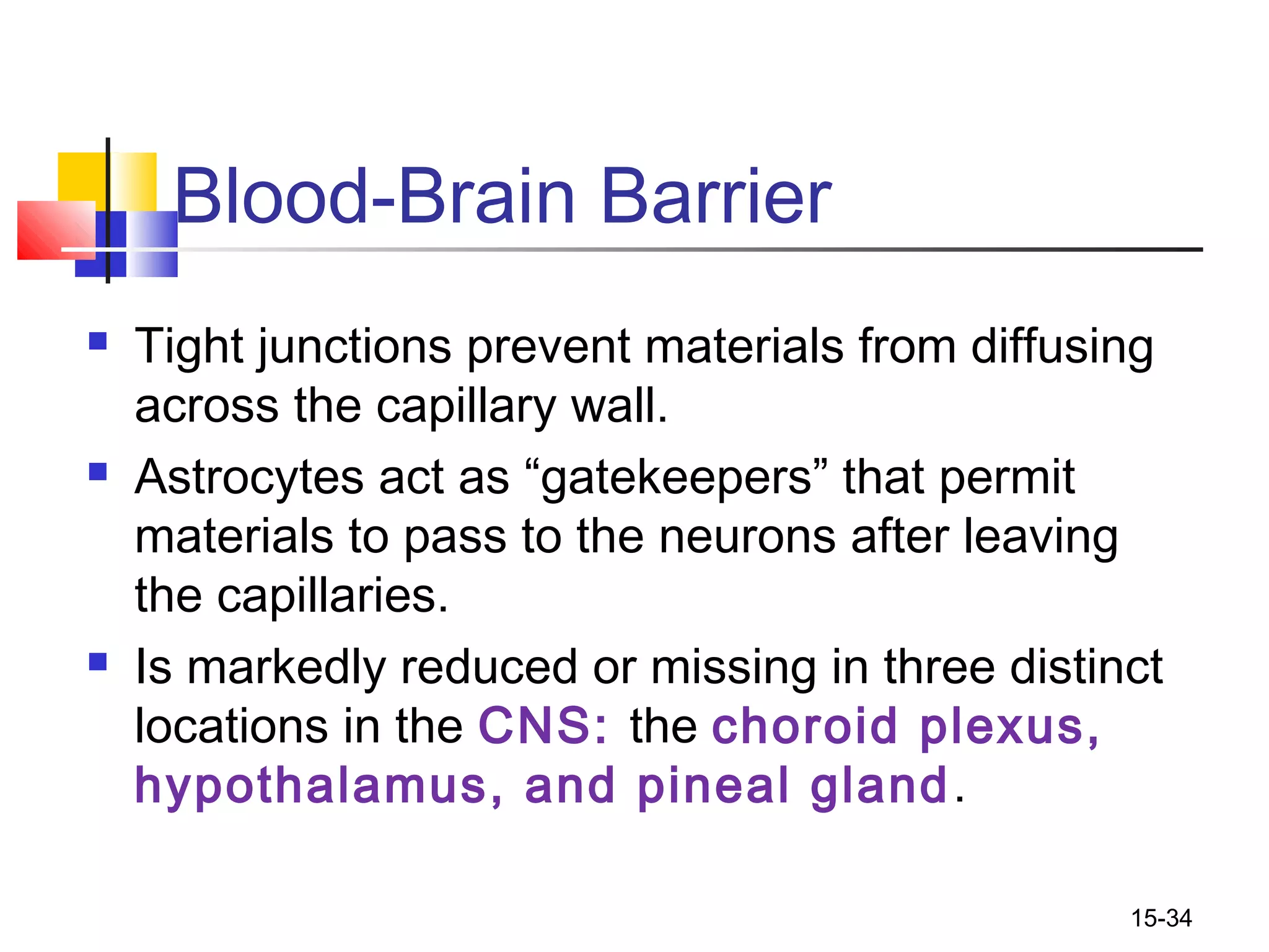 Brain and cranial nerves | PPT