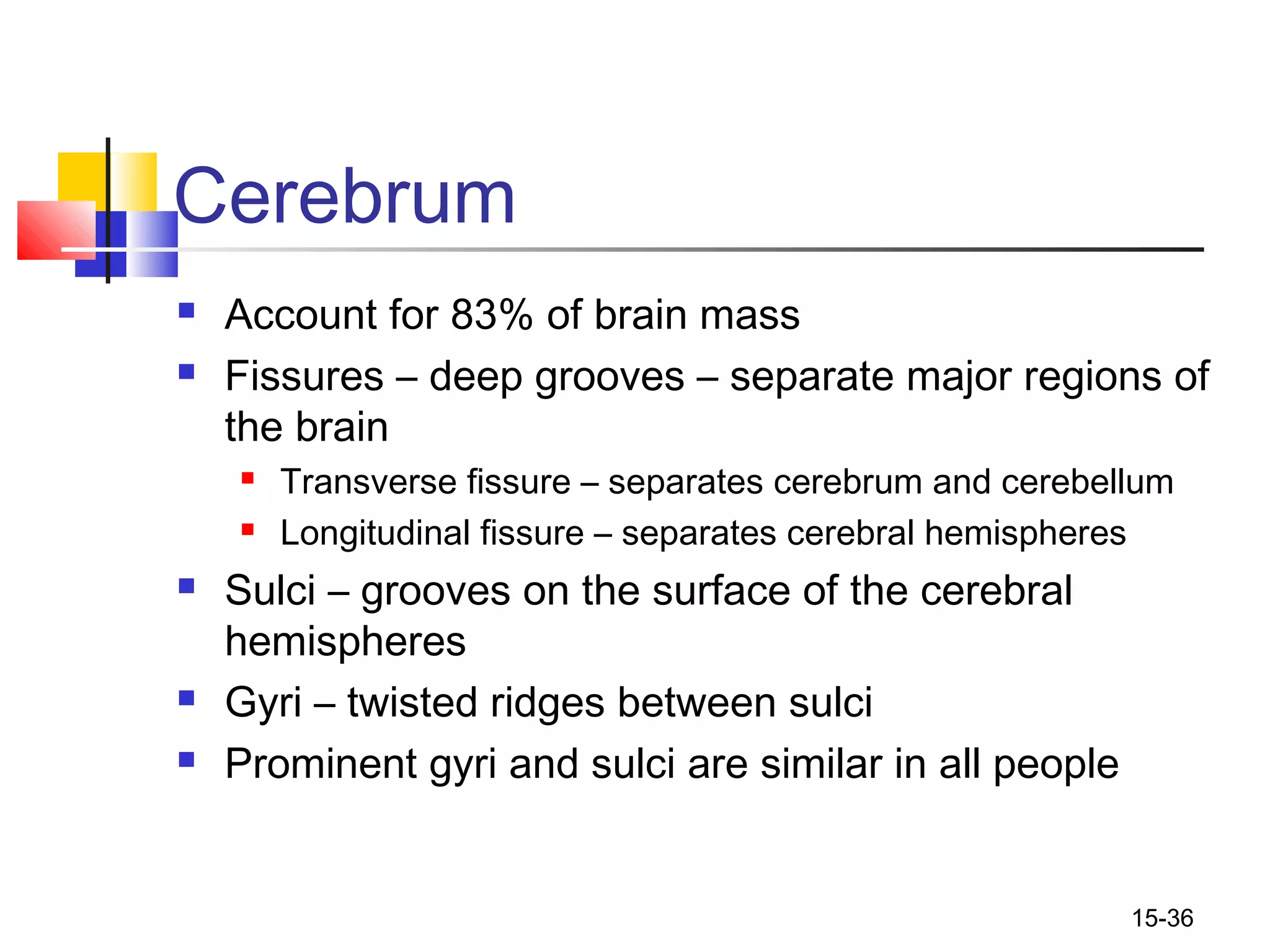 Brain and cranial nerves | PPT