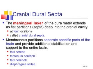 Brain and cranial nerves | PPT