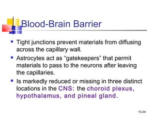 Brain and cranial nerves | PPT